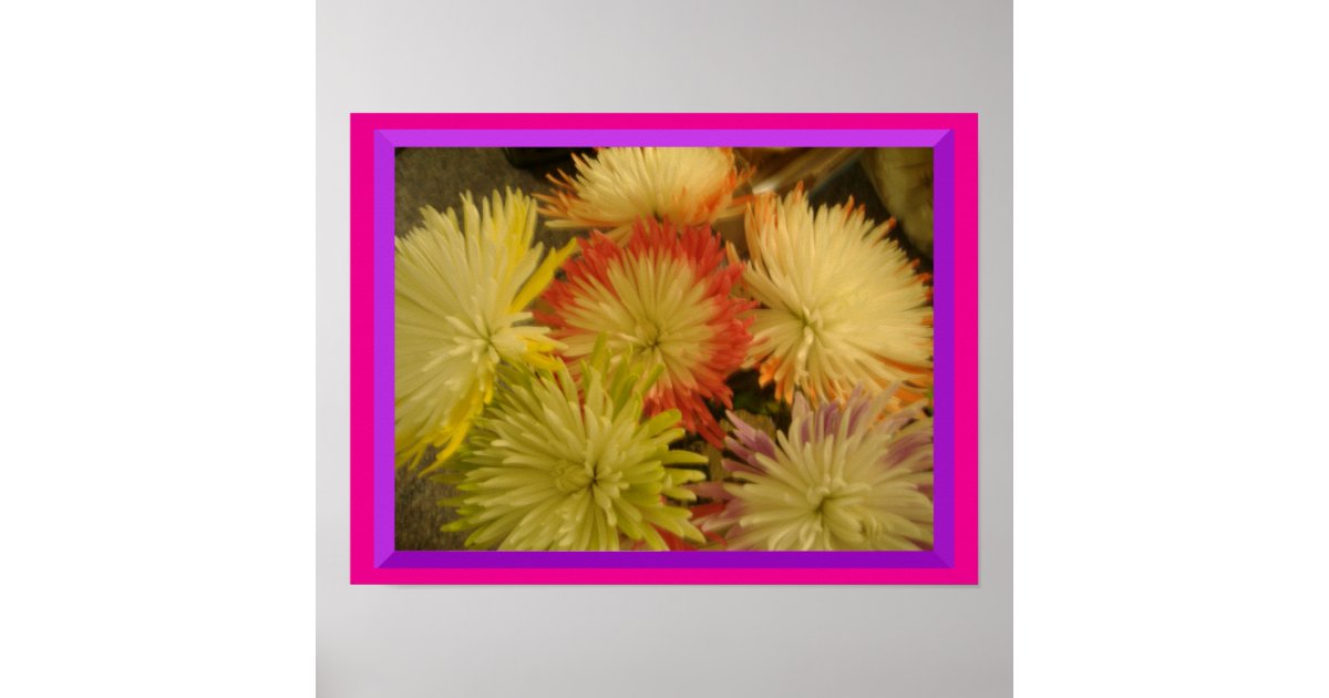 Flowers of Many Colors Poster | Zazzle