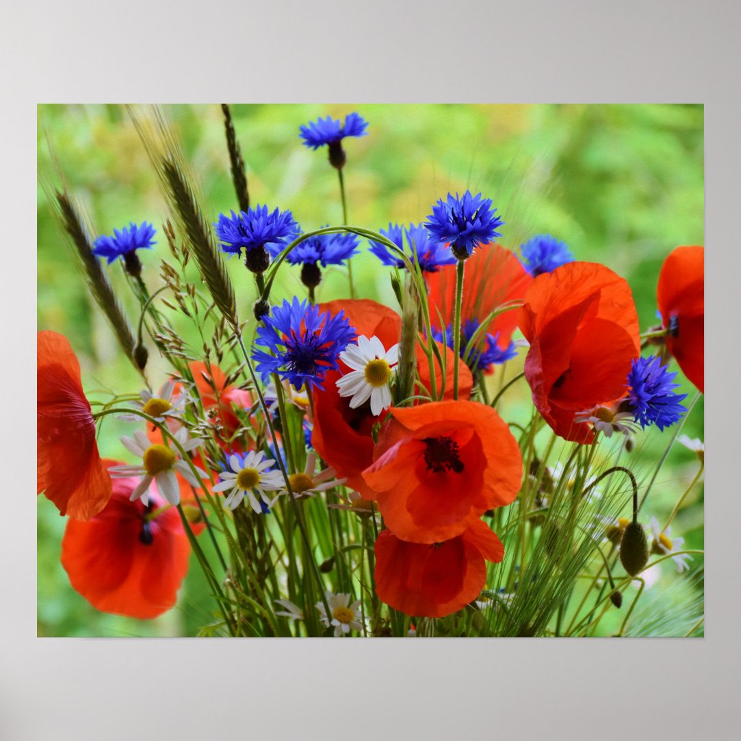 Flowers Poster | Zazzle