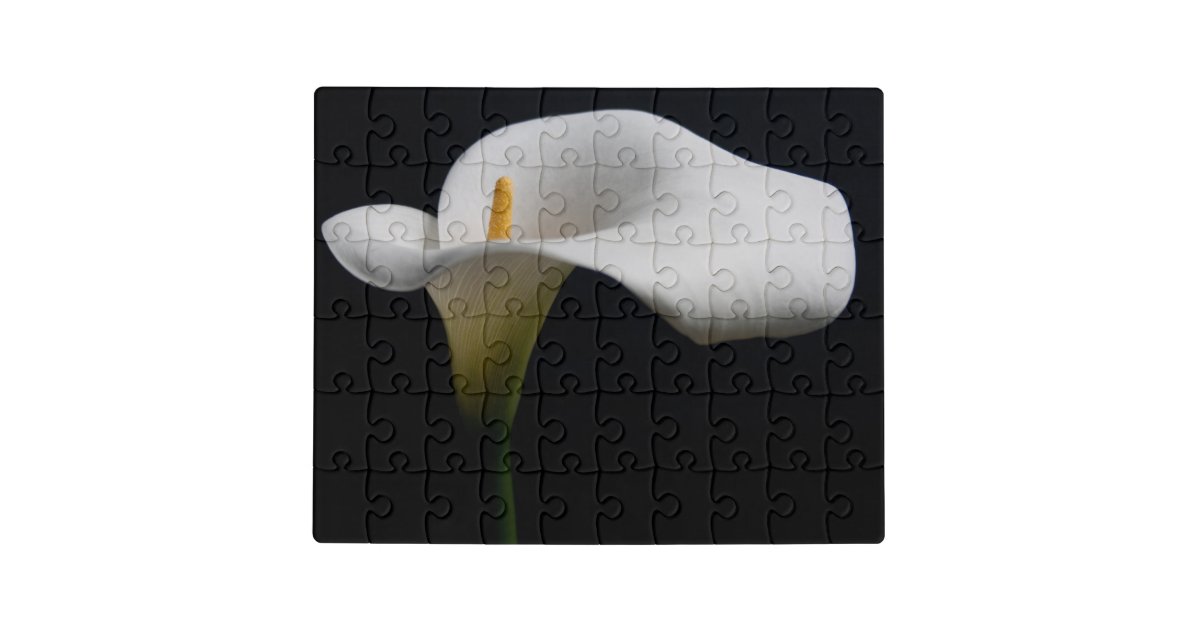 Flowers | White Calla Lily Jigsaw Puzzle | Zazzle Flowers | White Calla Lily Jigsaw Puzzle | Zazzle