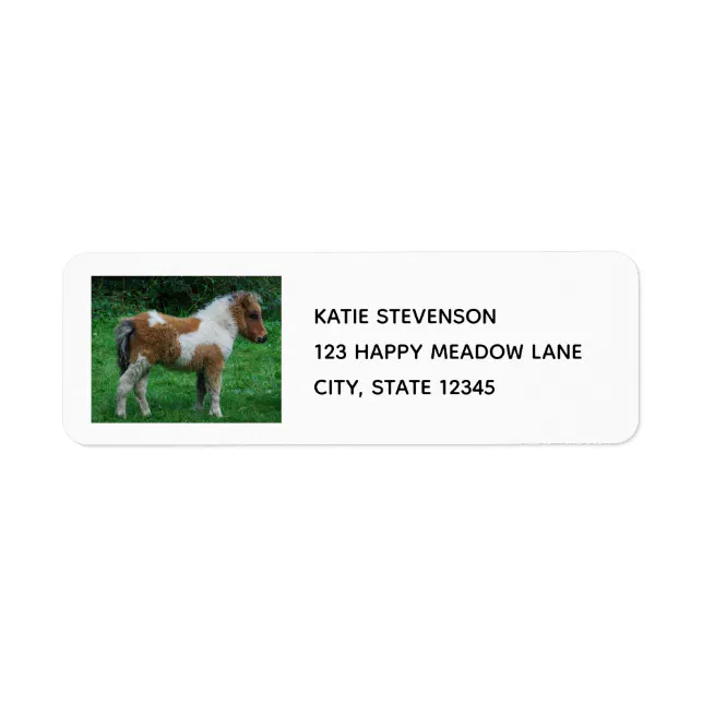 Fluffy Adorable Dartmoor Pony Label | Zazzle