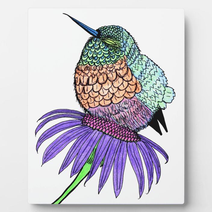 Fluffy Baby Hummingbird Plaque | Zazzle.com
