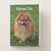 Fluffy Brown Pomeranian Puppy Dog Pocket Folder | Zazzle