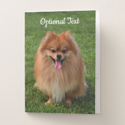 Fluffy Brown Pomeranian Puppy Dog Pocket Folder | Zazzle