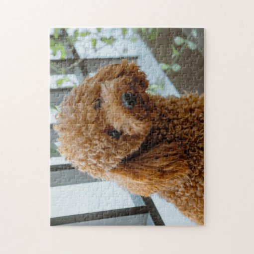 Fluffy Brown Poodle Puppy Dog Jigsaw Puzzle | Zazzle