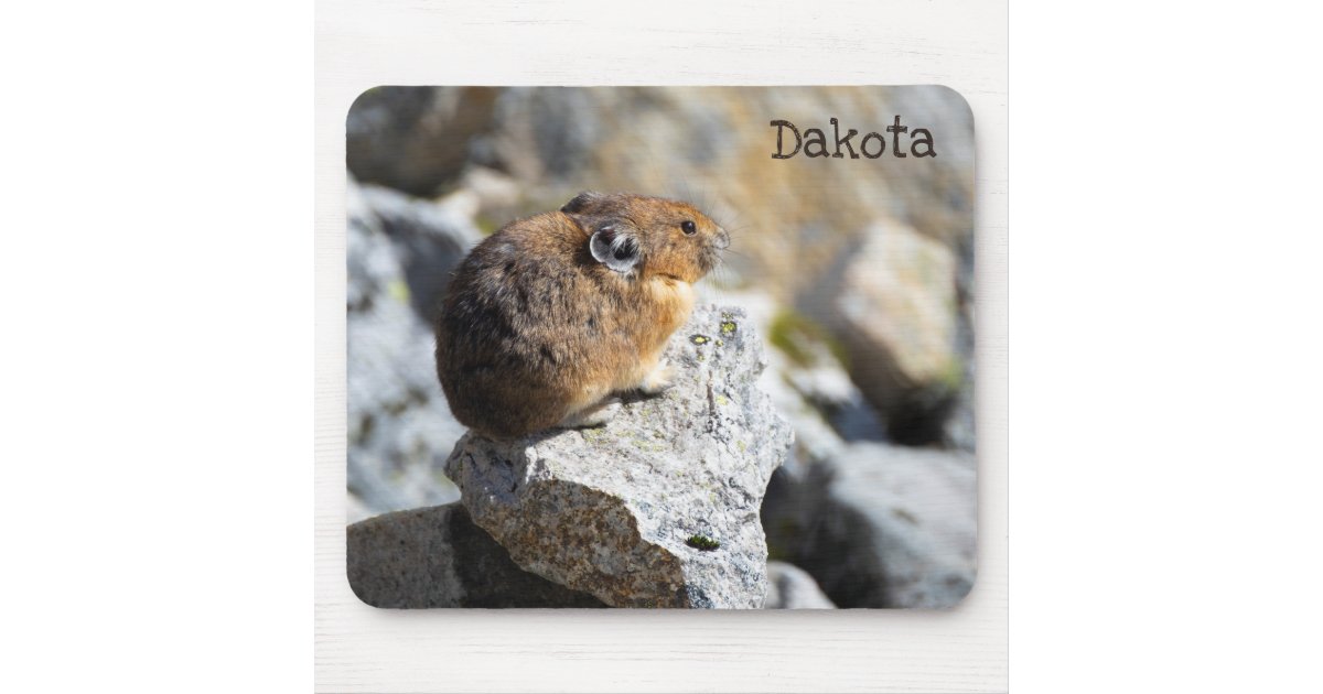 Fluffy Pika Custom Mouse Pad | Zazzle