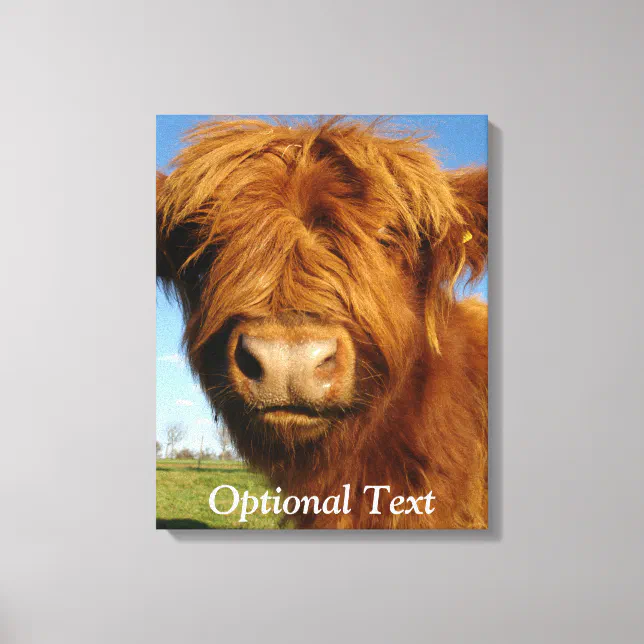 Fluffy Scottish Highland Cow - Blue Sky Canvas Print | Zazzle