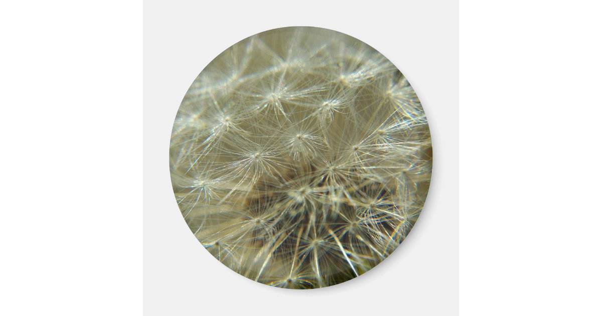 Fluffy Sphere - Magnet | Zazzle
