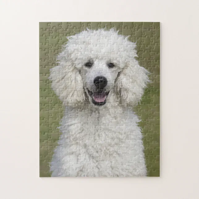 Fluffy White Poodle Puppy Dog Jigsaw Puzzle | Zazzle
