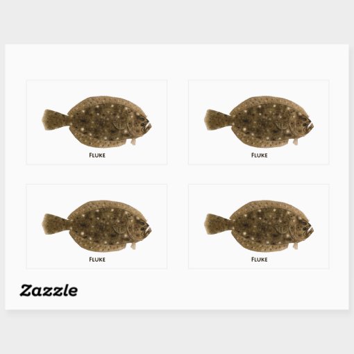Fluke Rectangular Sticker | Zazzle