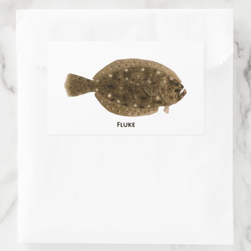 Fluke Rectangular Sticker | Zazzle