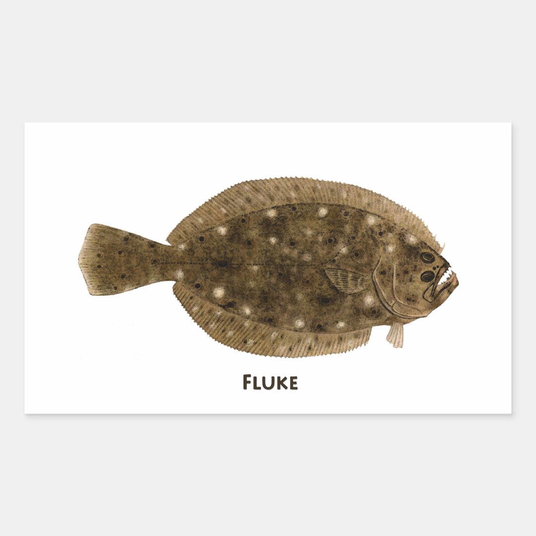 Fluke Rectangular Sticker | Zazzle