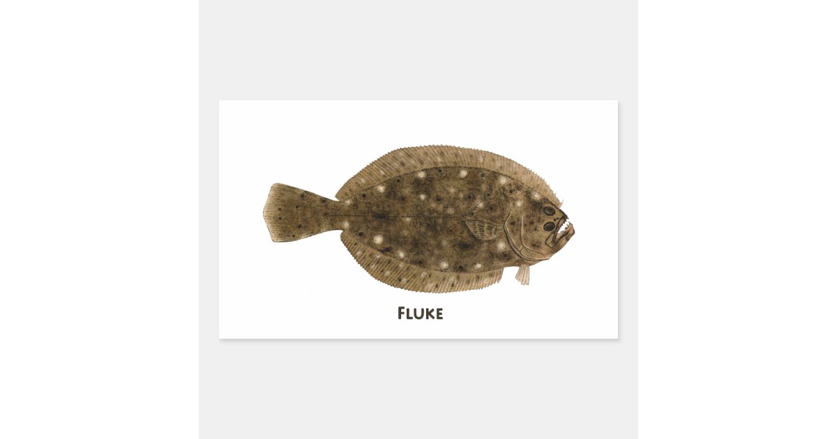 Fluke Rectangular Sticker | Zazzle