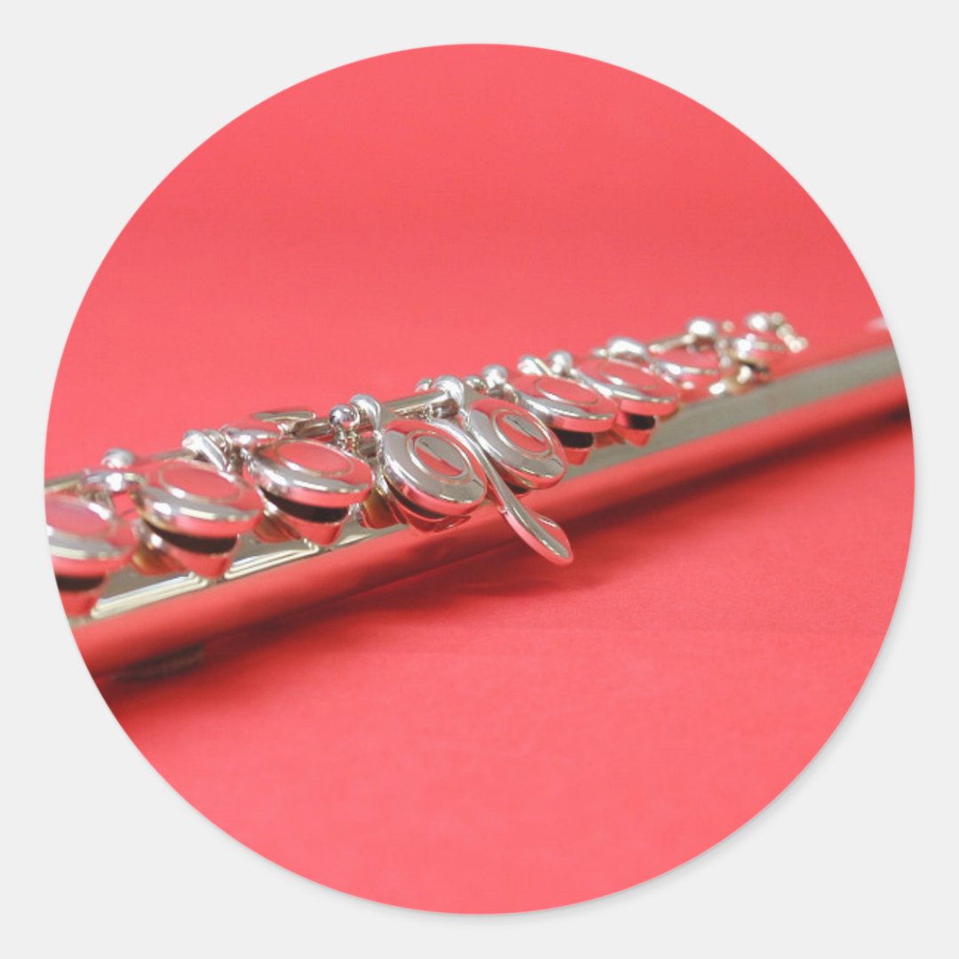 Flute student pink woodwind music classic round sticker | Zazzle