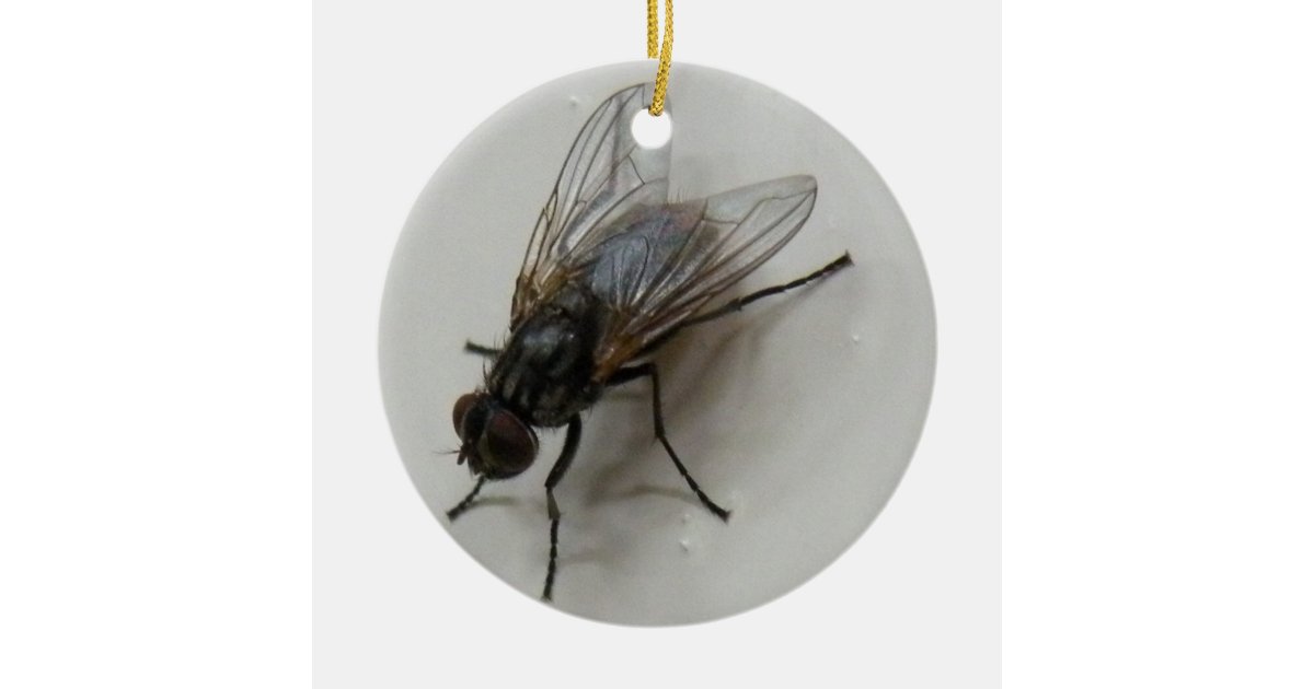 Fly Ceramic Ornament | Zazzle