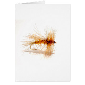 Fly Fishing Cards | Zazzle