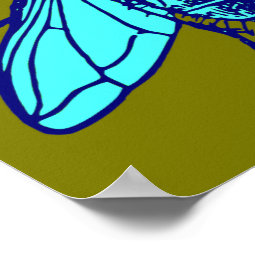 Fly Pop Art Poster | Zazzle