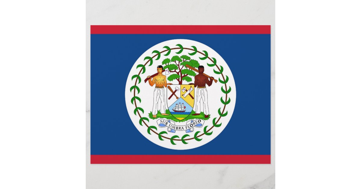 Flyer with Flag of Belize | Zazzle