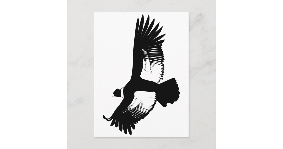 Flying Andean Condor Postcard | Zazzle