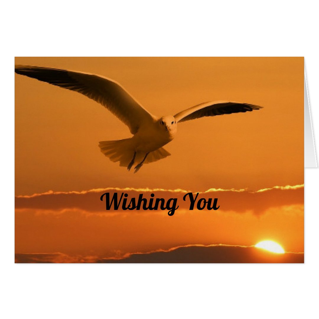 Flying Bird Birthday Card | Zazzle