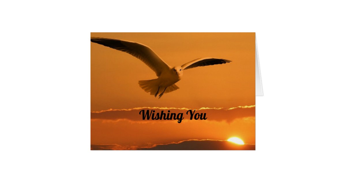 Flying Bird Birthday Card | Zazzle