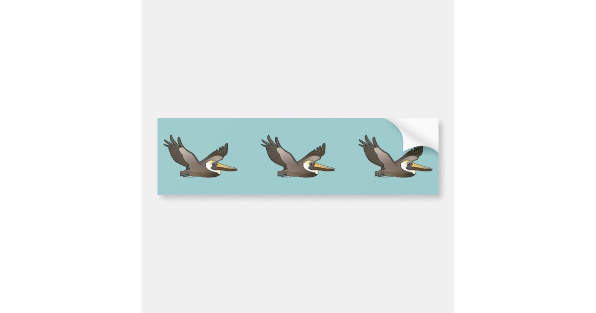 Flying Brown Pelican Bumper Sticker | Zazzle