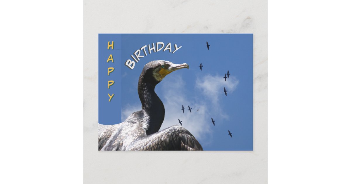 Flying Cormorants Happy Birthday Postcard | Zazzle