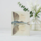 Flying-Fish Postcard | Zazzle