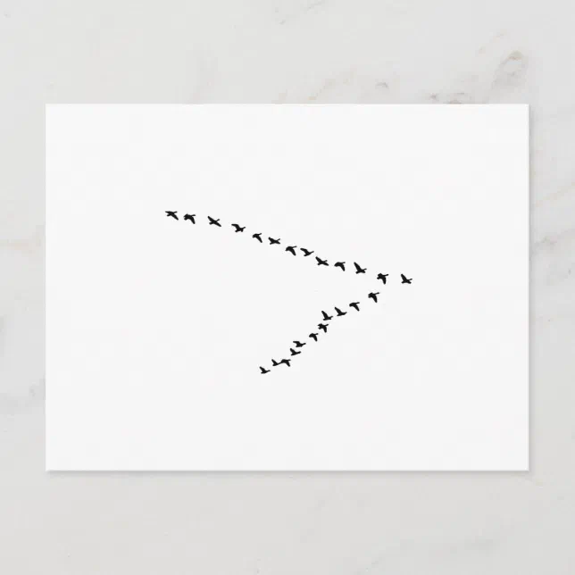 Flying Geese "V" Formation Postcard | Zazzle