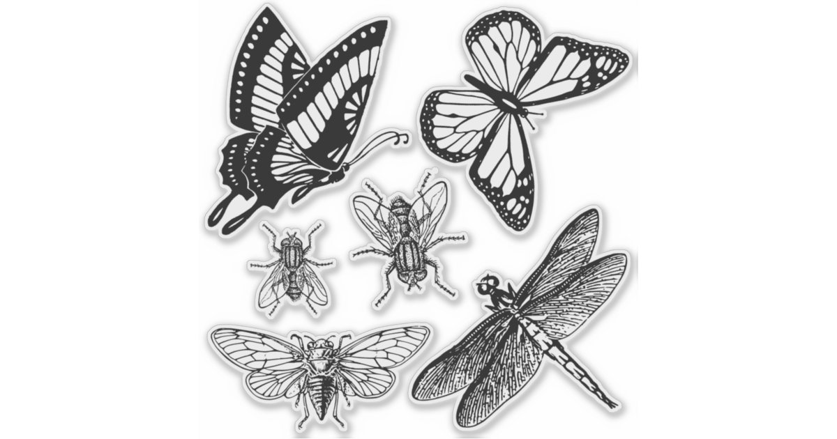 Flying insects transparent stickers | Zazzle