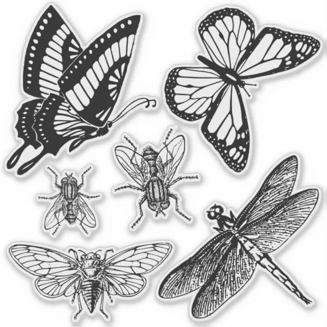 Flying insects transparent stickers | Zazzle