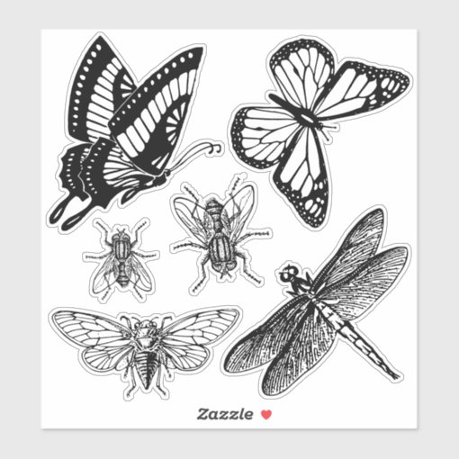 Flying insects transparent stickers | Zazzle