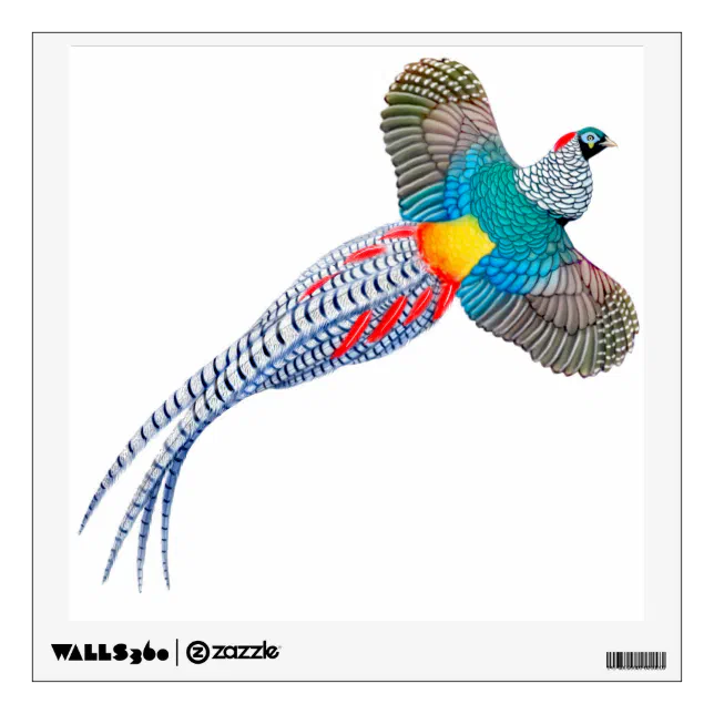 Flying Lady Amherst Pheasant Wall Decal | Zazzle