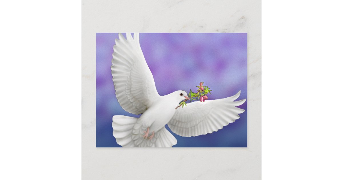 Flying Peace Dove Card | Zazzle