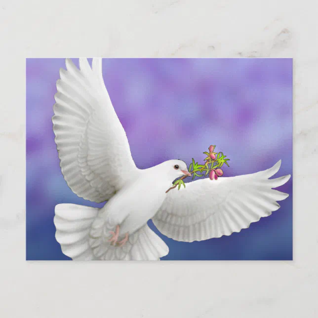 Flying Peace Dove Card | Zazzle