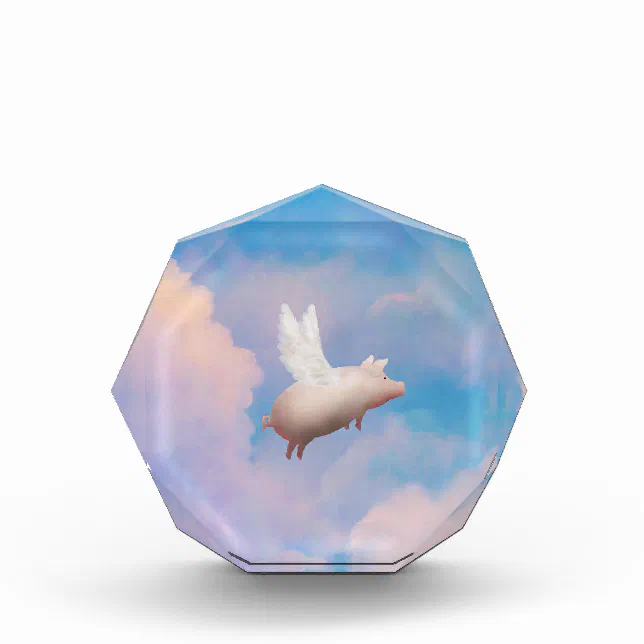 flying pig award | Zazzle