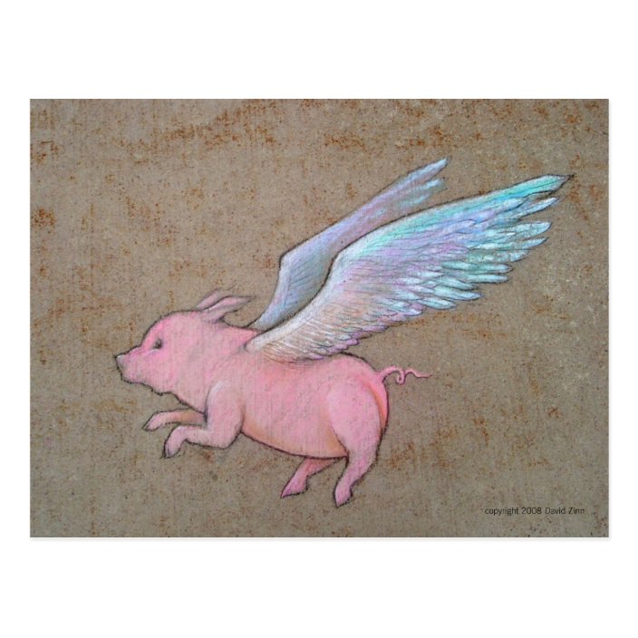 flying pig postcard | Zazzle.com