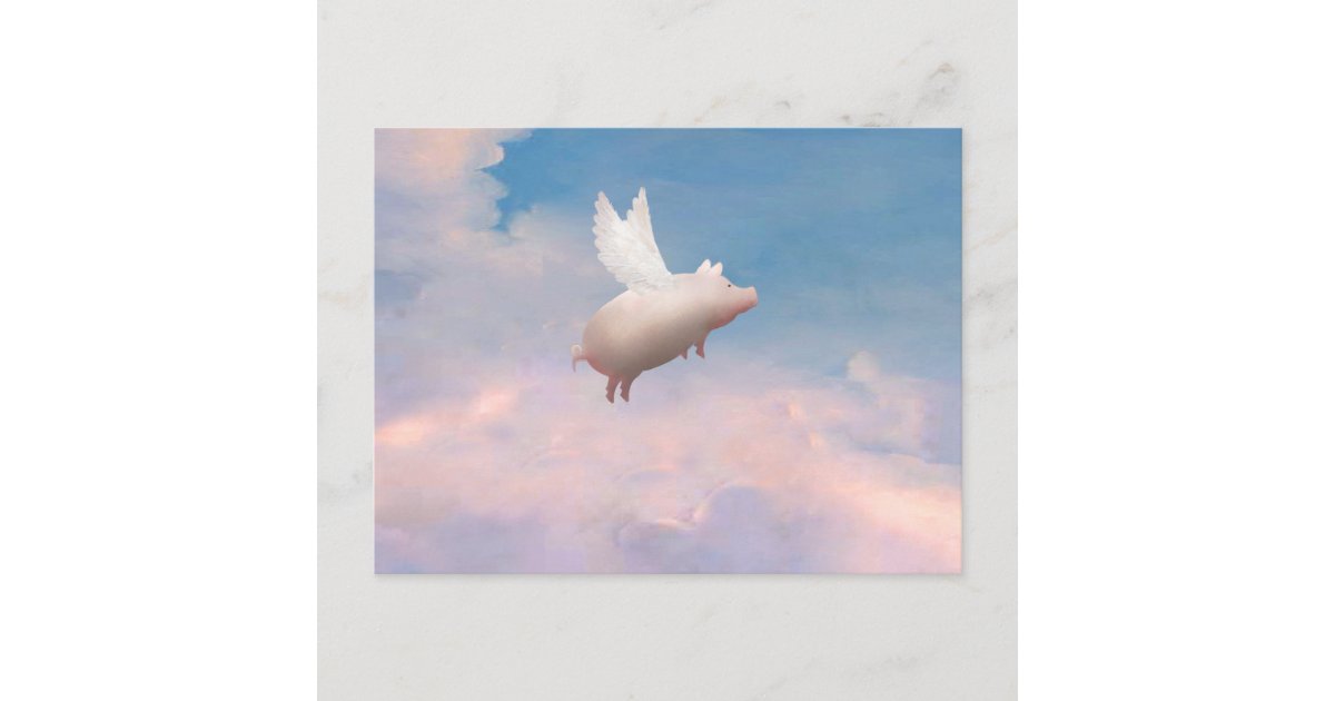 flying pig postcard | Zazzle