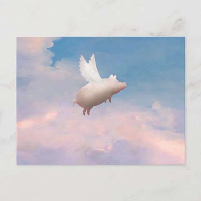 flying pig postcard | Zazzle