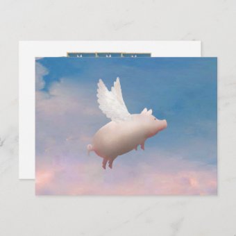 flying pig postcard | Zazzle