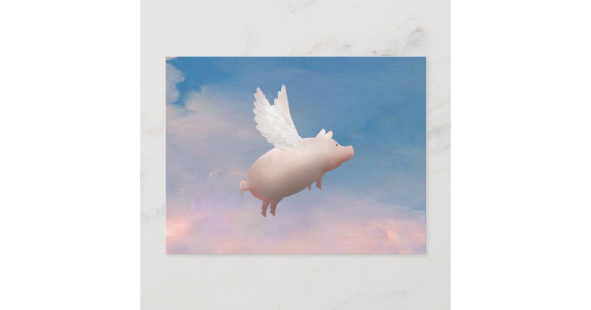 flying pig postcard | Zazzle