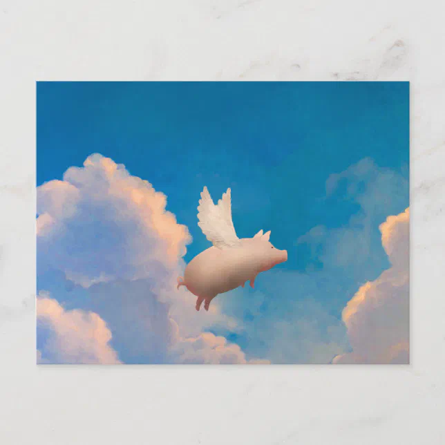 flying pig postcard | Zazzle