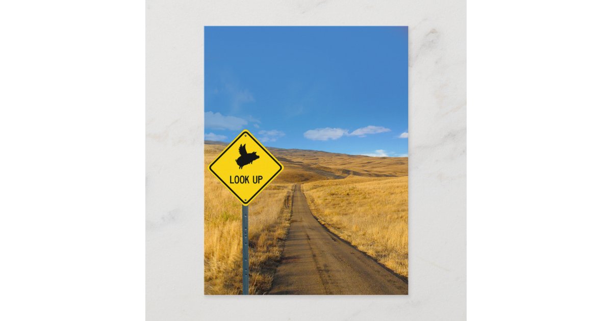 Flying Pig Road Sign Postcard | Zazzle