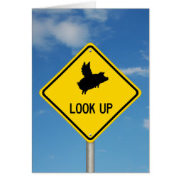 Flying Pig Sign | Zazzle
