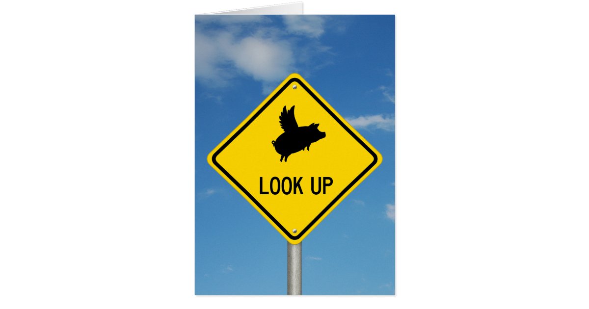 Flying Pig Sign | Zazzle