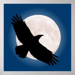 Flying raven with the moon behind it poster | Zazzle