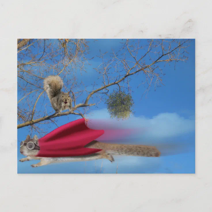 Flying Squirrel Postcard | Zazzle