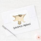 Flying squirrel sticker | Zazzle