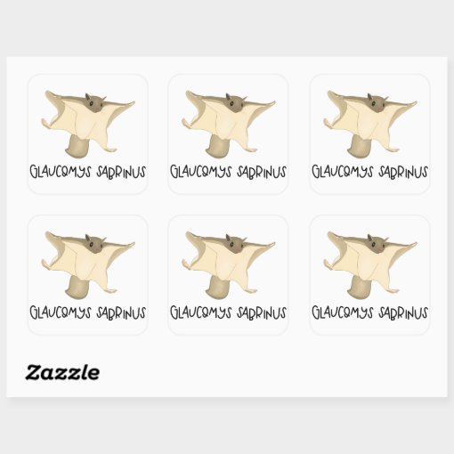Flying squirrel sticker | Zazzle