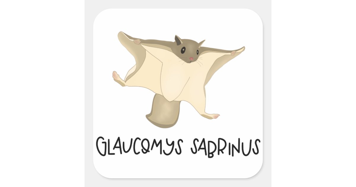 Flying squirrel sticker | Zazzle