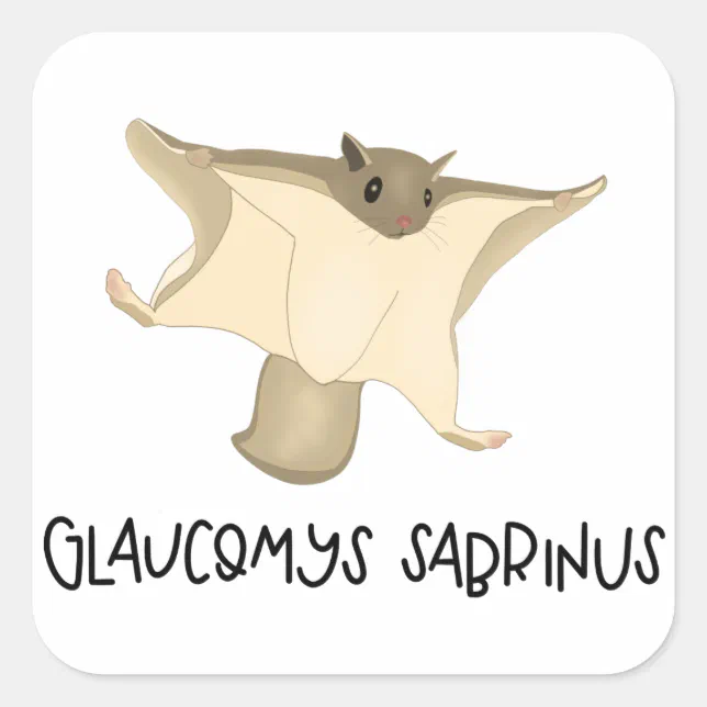 Flying squirrel sticker | Zazzle